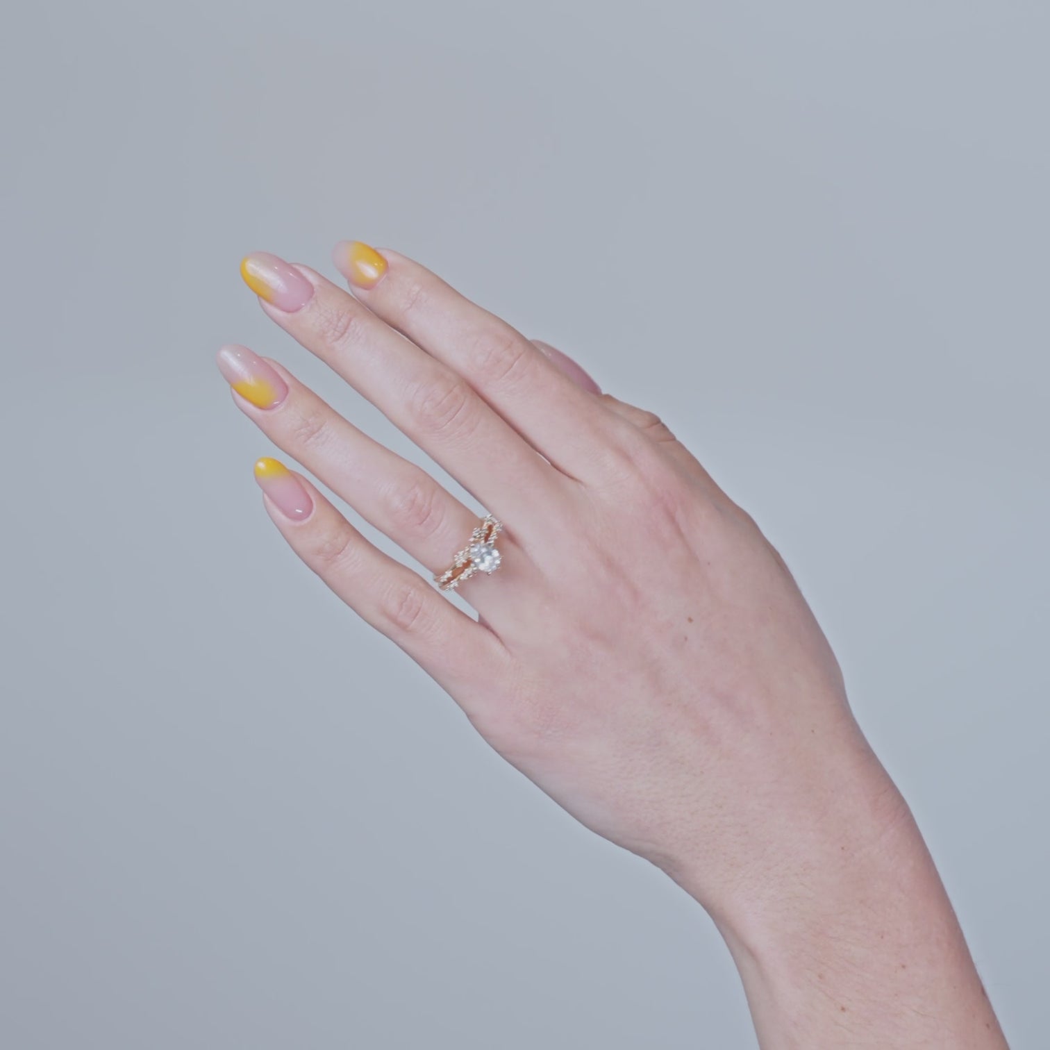 Daphne Band – No.3