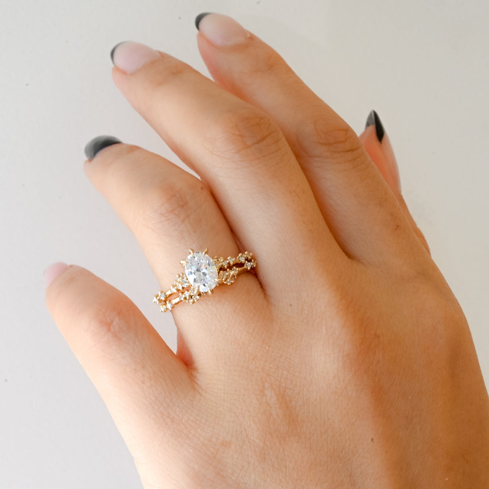 Daphne Band – No.3